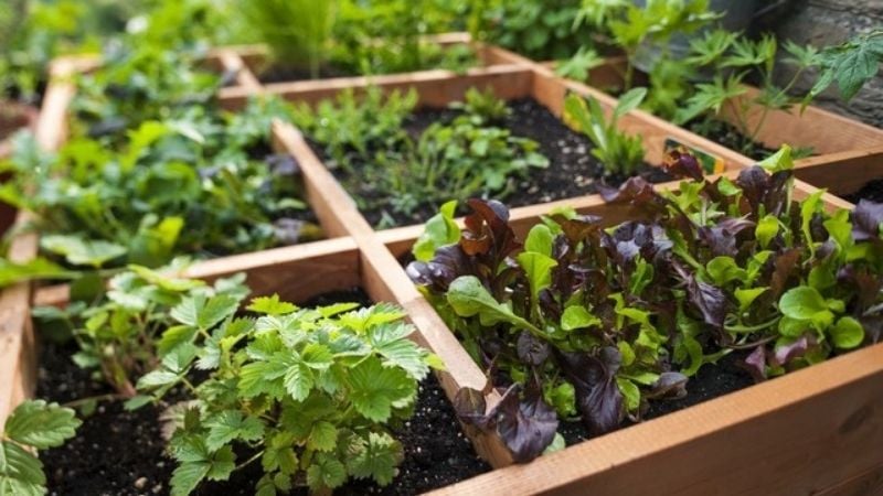 easy-diy-garden-ideas-for-small-yards-and-apartments